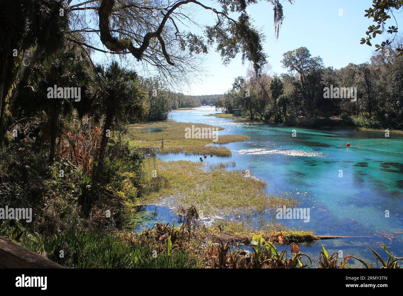 Rainbow Springs: Natural Springs in Florida Stock Photo - Alamy