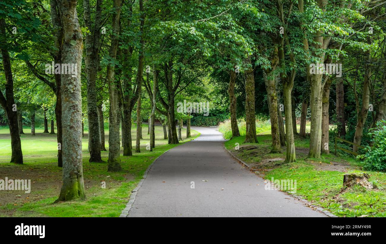 Path to walk through the public park with leafy trees next to St ...