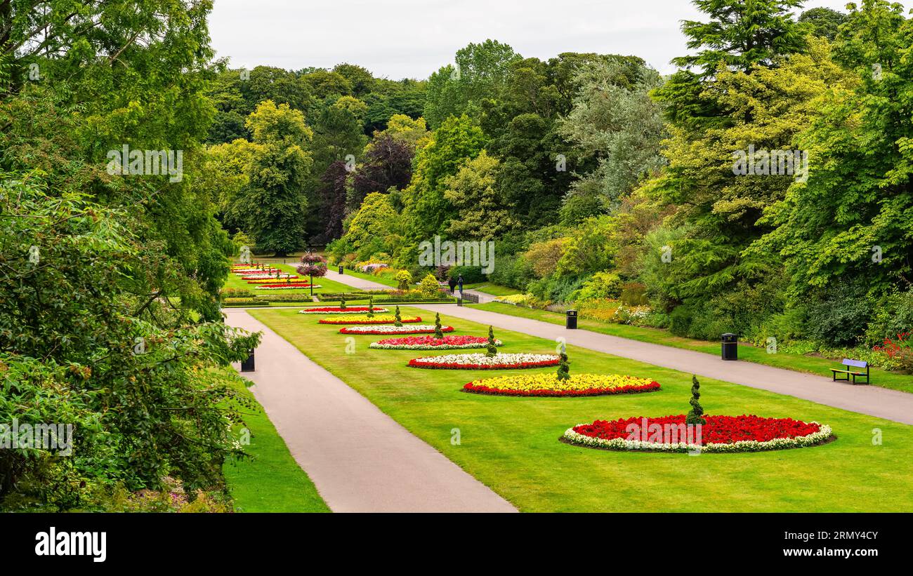Beautiful garden decorated with flowers of many colors in green grass ...