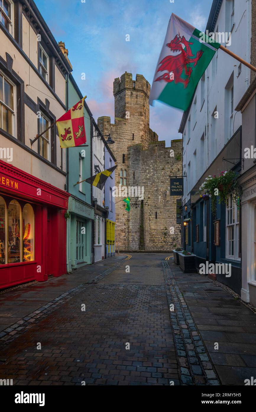 Welsh Flag flying in Caernarfon Town, Gwynedd, Wales Stock Photo - Alamy