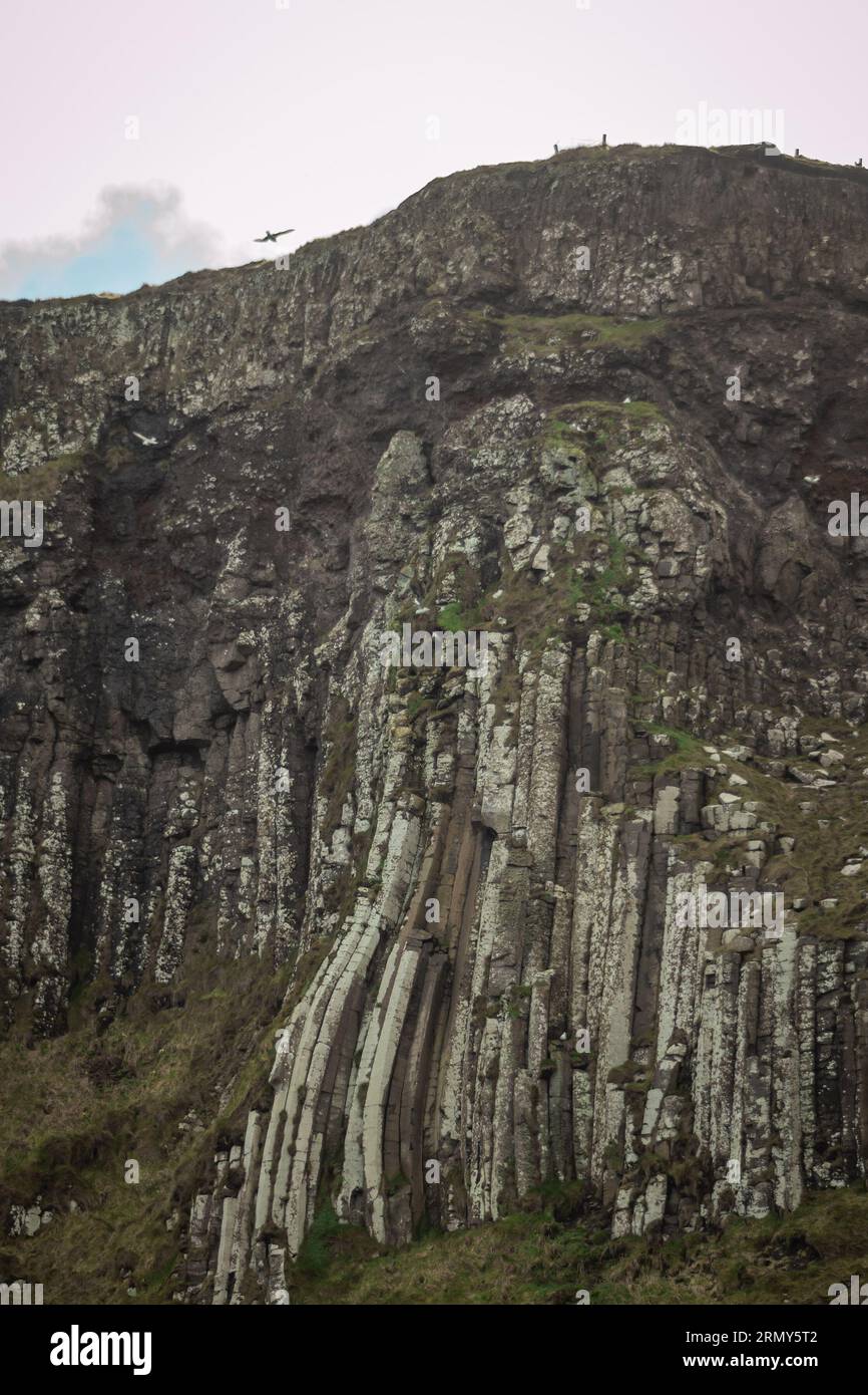 Giant’s causeway wide hi-res stock photography and images - Alamy