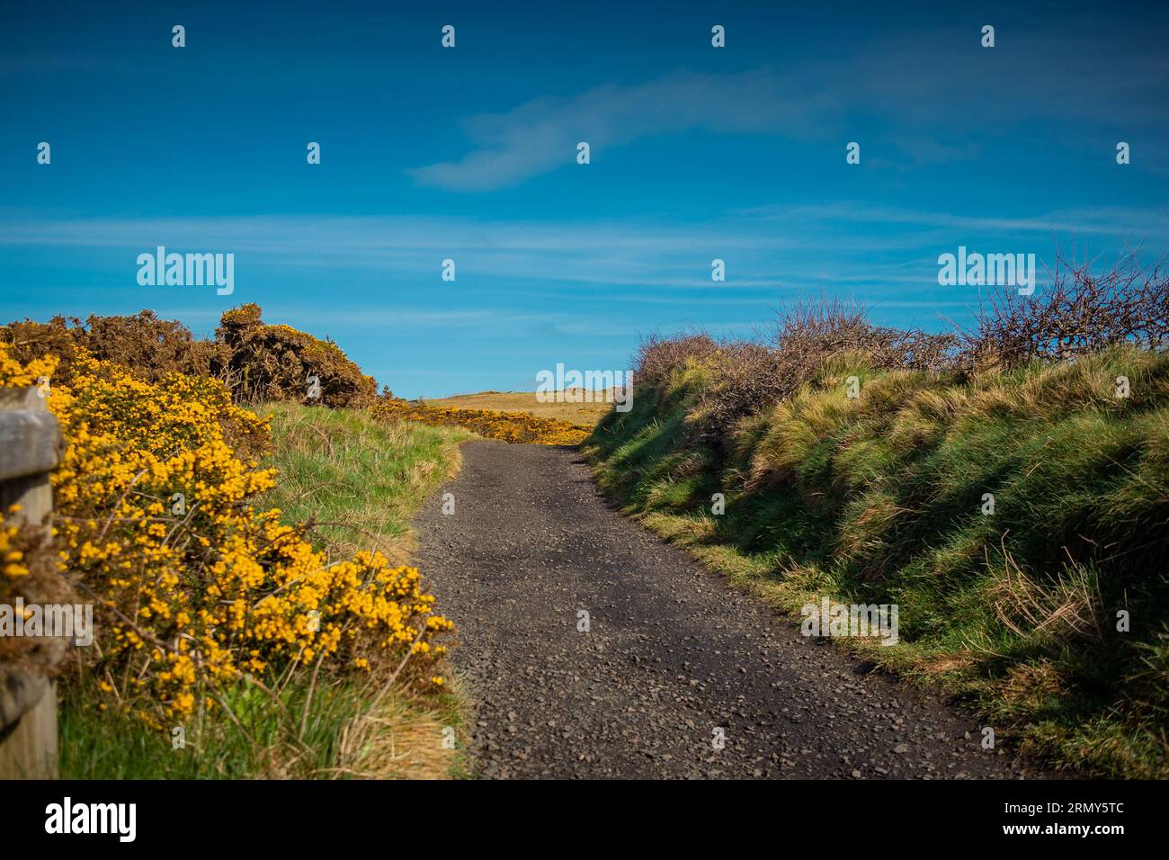 Wiew of path at cliffs and hexagonal stones or pillars at Giants ...