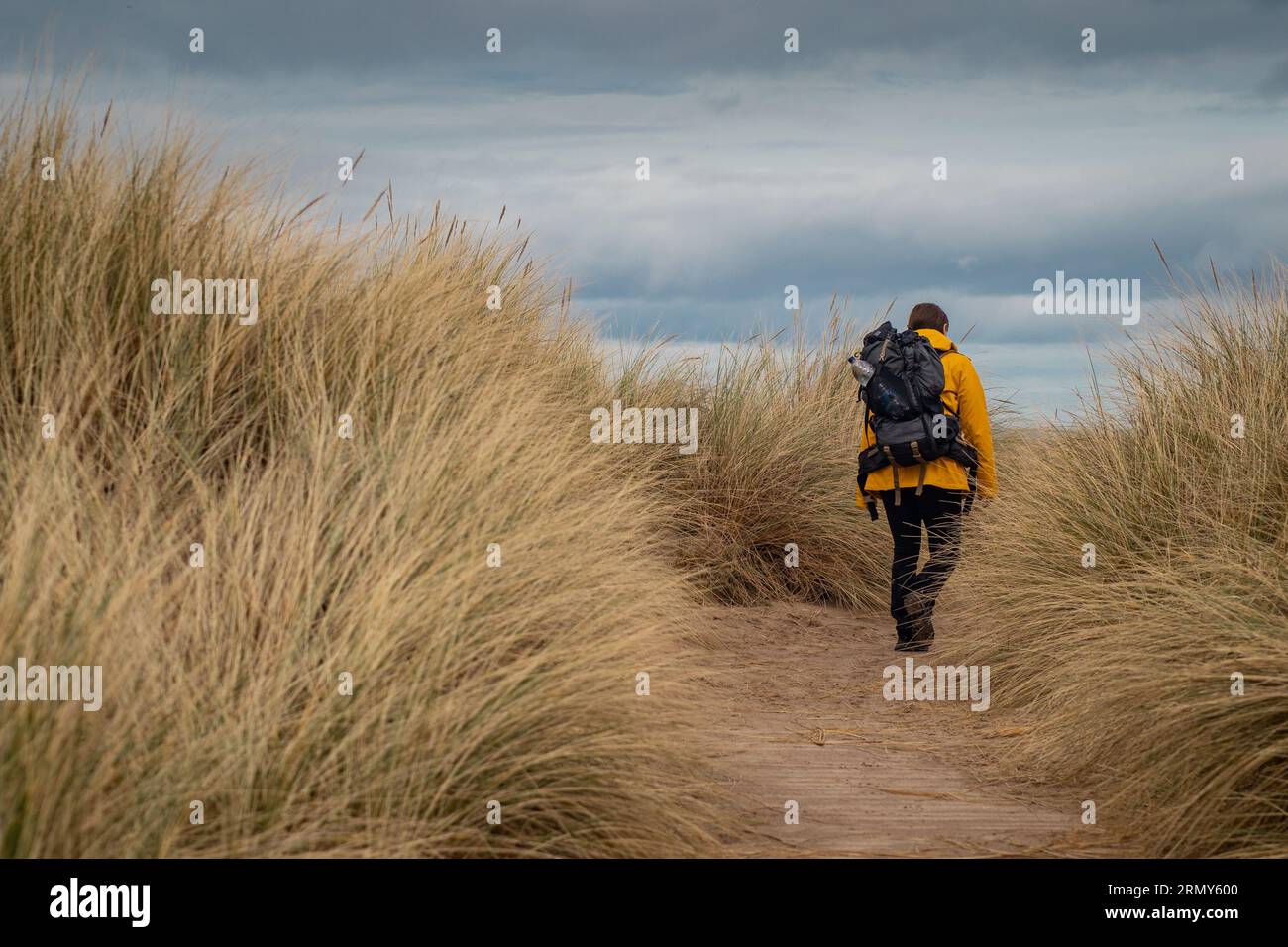 Female adventurer with backpack walking through sandy and grassy ...