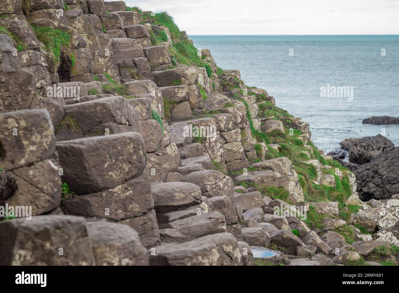 Detail of hexagonal stones or pillars at Giants causeway in northern ...