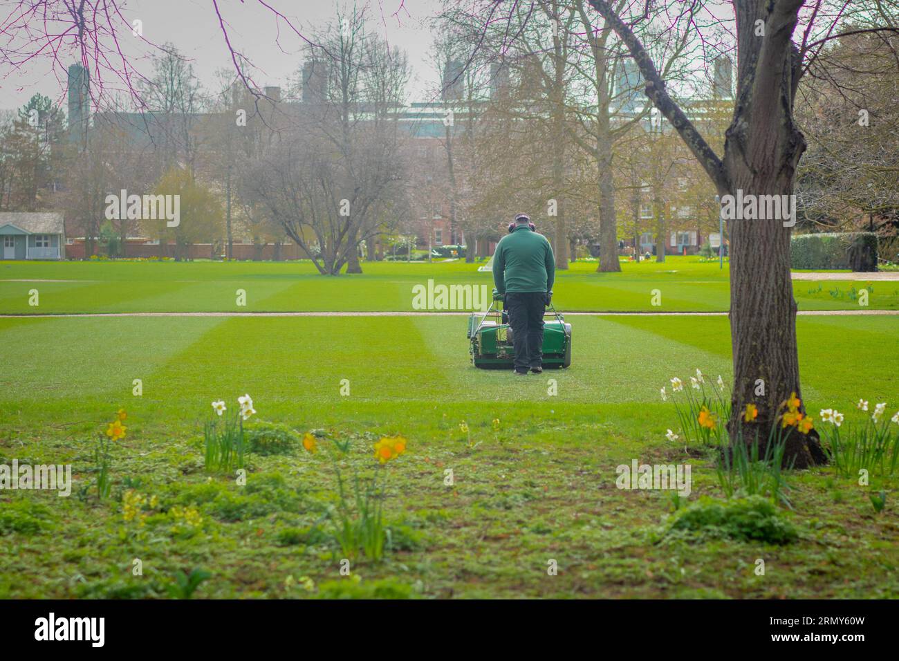 Man mowing lawn rear view hi-res stock photography and images - Alamy