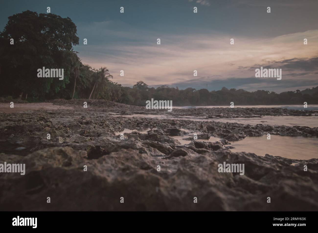 Beautiful jungle caribbean beach with nice surf close to Playa Cocles ...