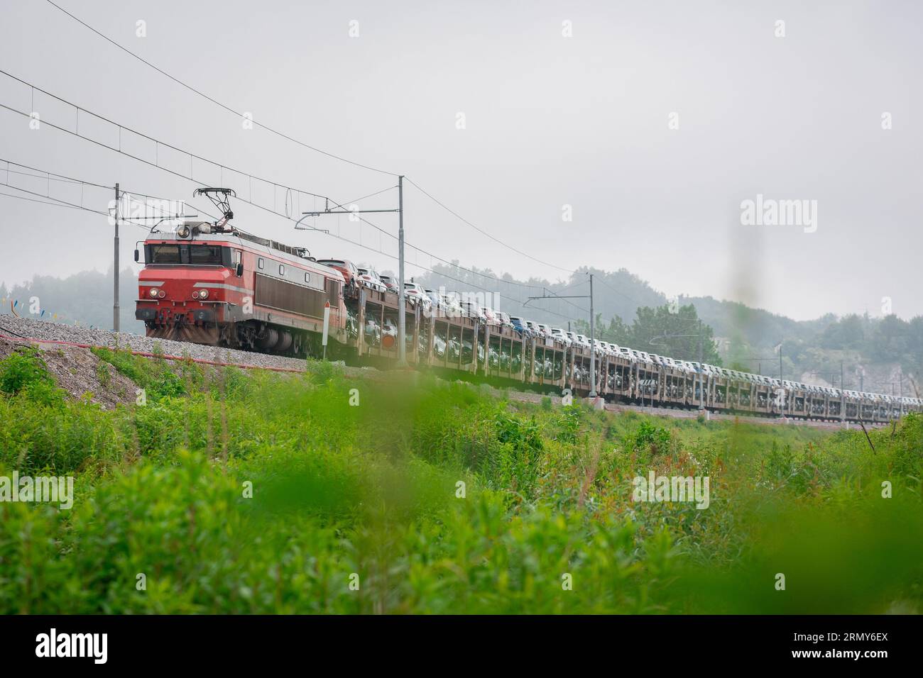 Train transporting automobiles. Long freight train with a large load of ...