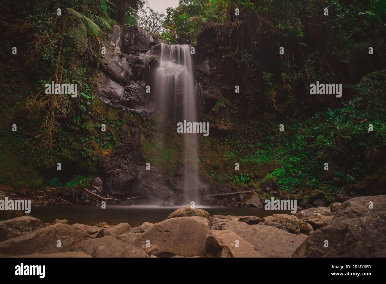 Beautiful waterfall in Boquete part of Panama called the hidden ...