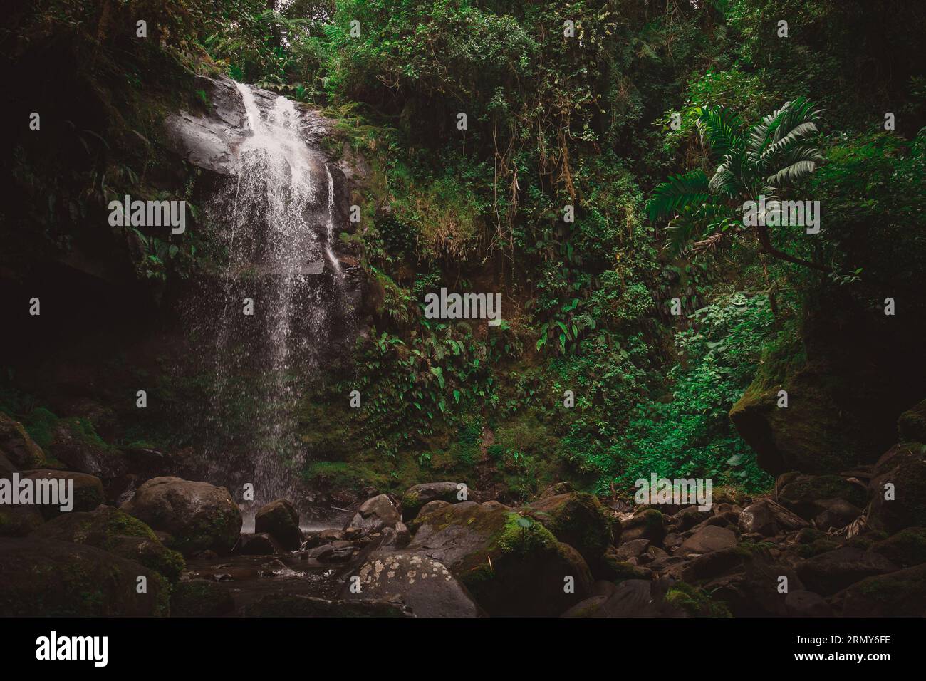 Beautiful waterfall in Boquete part of Panama called the hidden ...