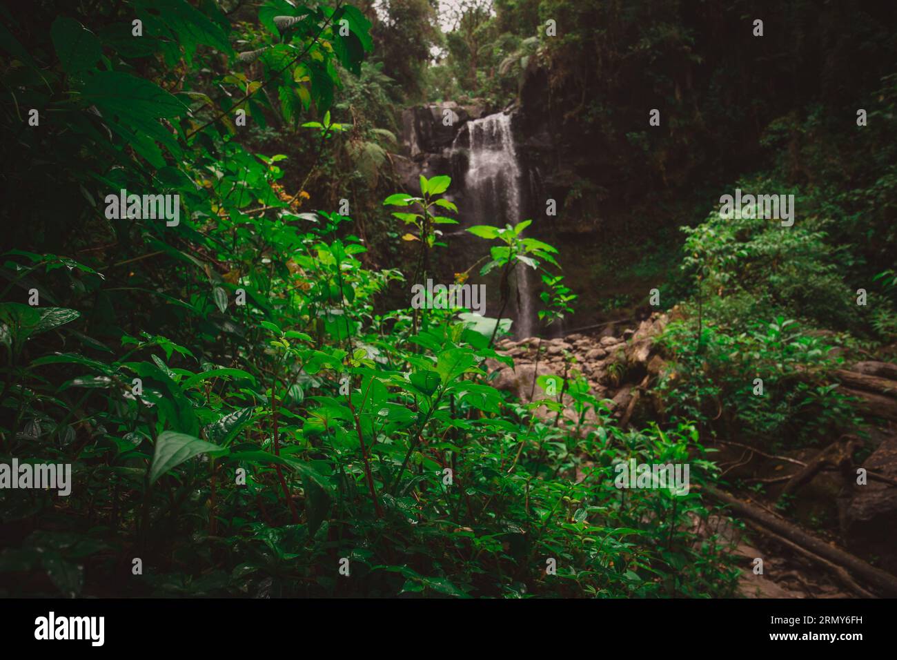 Beautiful waterfall in Boquete part of Panama called the hidden ...