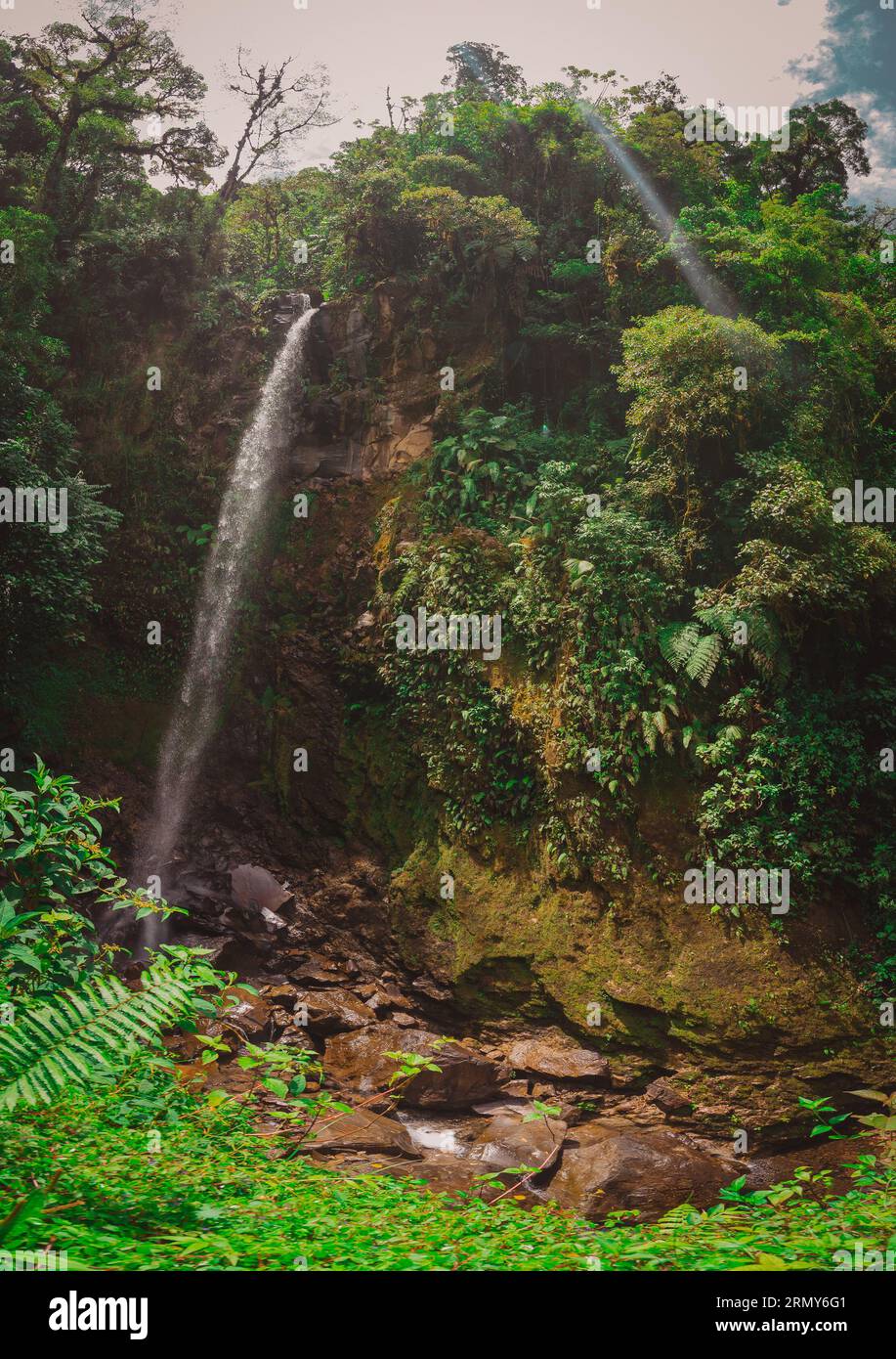 Beautiful waterfall in Boquete part of Panama called the hidden ...