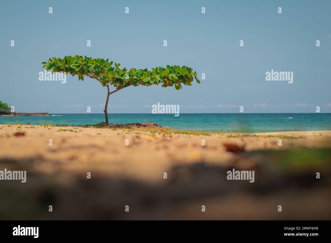 Typical beach in puerto Limon, a coastal city in Costa Rica, view of ...