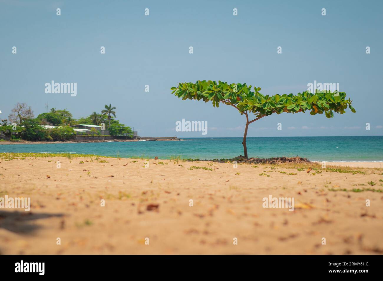 Typical beach in puerto Limon, a coastal city in Costa Rica, view of ...