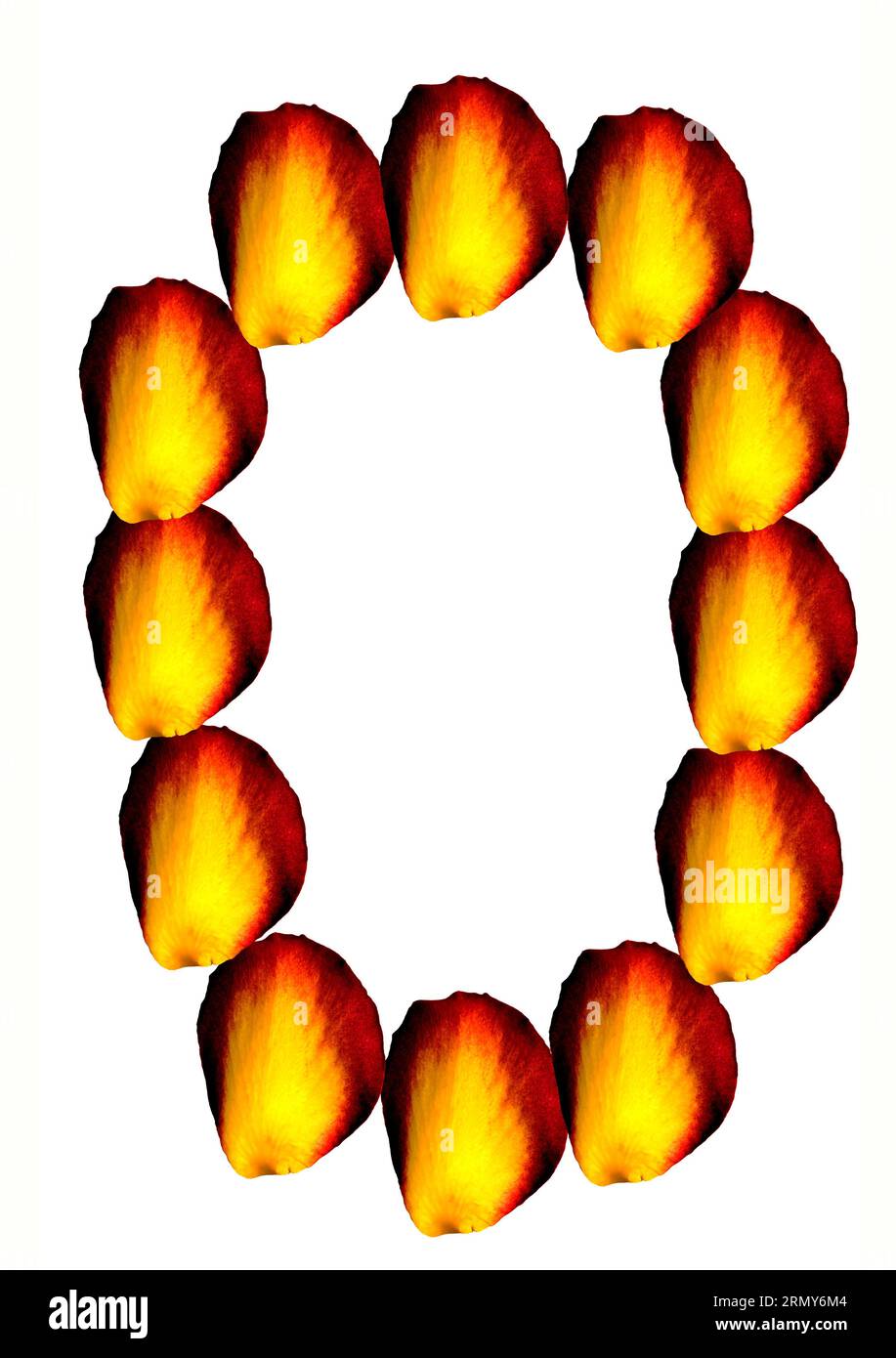 Colorful letter O handcrafted using sweet heart rose petals. Give ...