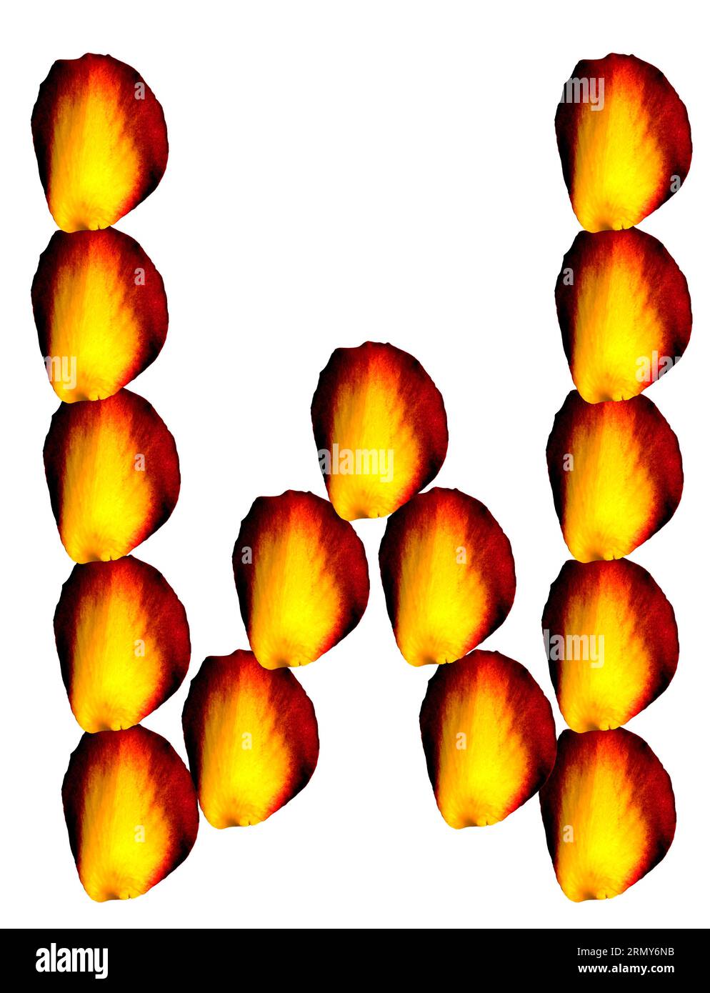 Colorful letter W handcrafted using sweet heart rose petals. Give ...