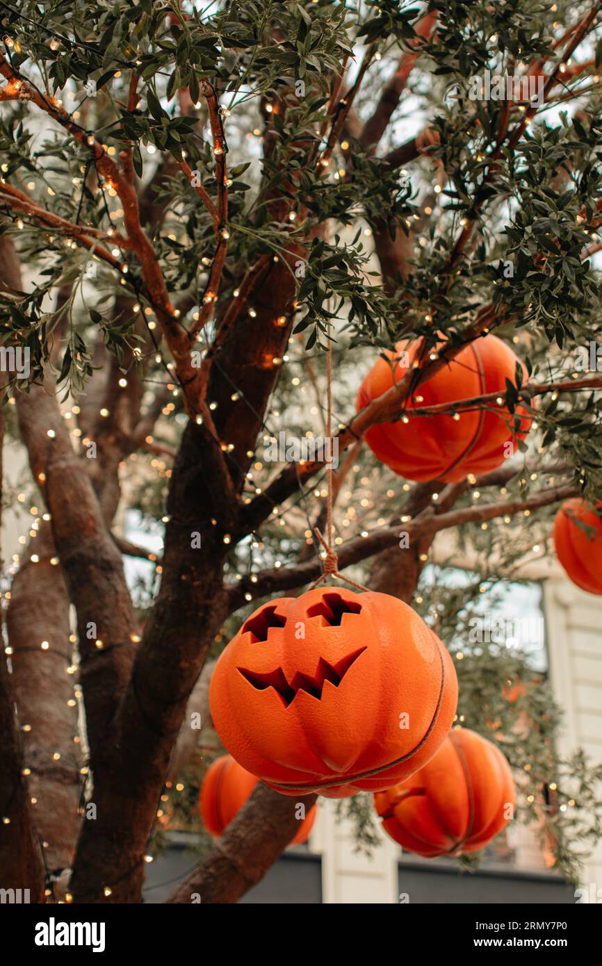 Bright pumpkin with a scary Halloween face hanging on a tree with ...