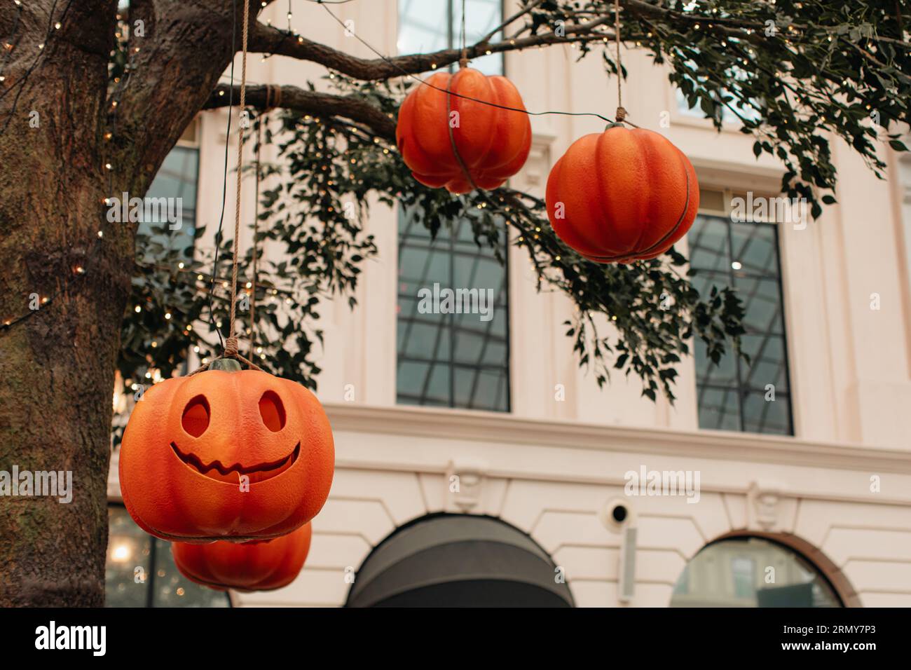 Scary face tree hi-res stock photography and images - Alamy