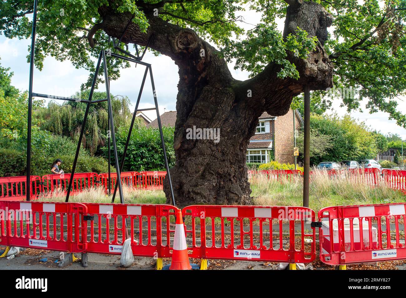 The crouch tree addlestone hi-res stock photography and images - Alamy