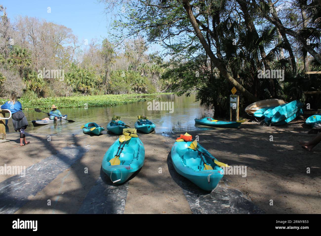 Kayaking the Natural Springs at Wekiwa Springs Stock Photo - Alamy