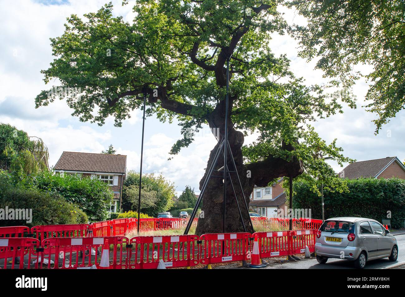 The crouch tree addlestone hi-res stock photography and images - Alamy