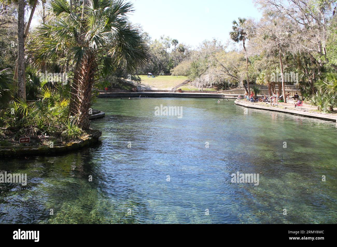 Swimming Hole at Wekiwa Springs Stock Photo - Alamy