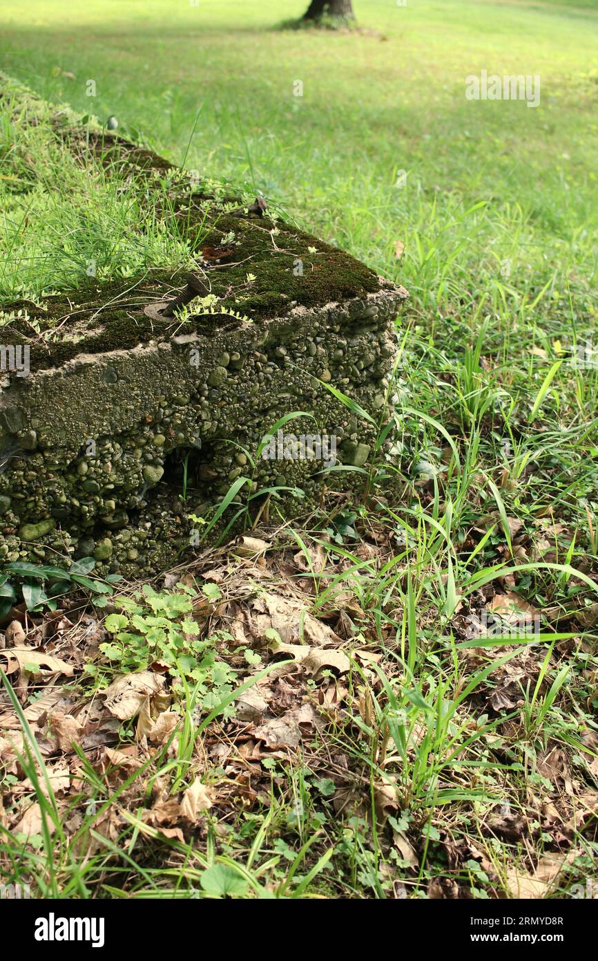 Old abandoned concrete slab foundation of a long gone building and home ...