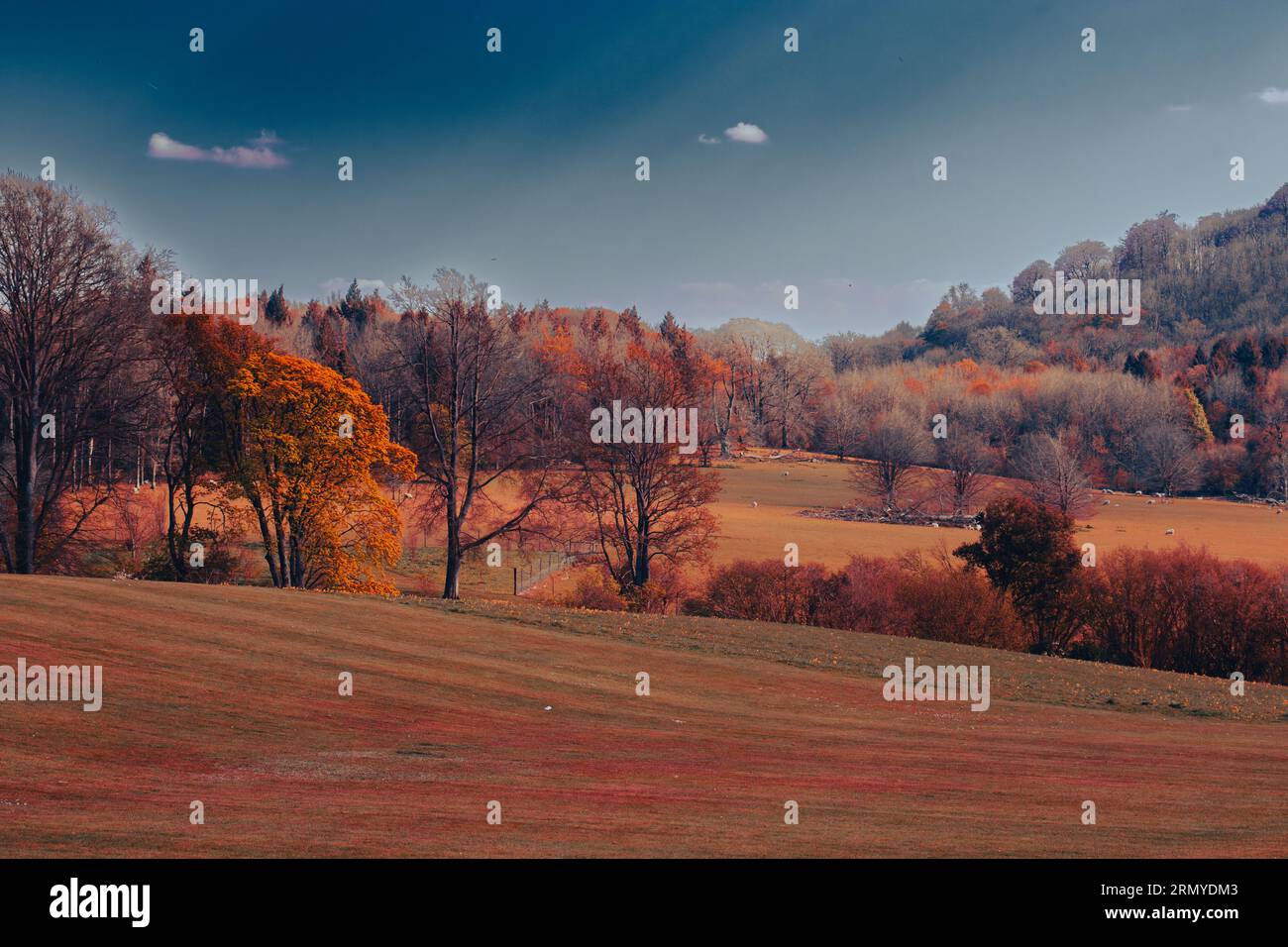 Pastoral setting hi-res stock photography and images - Alamy