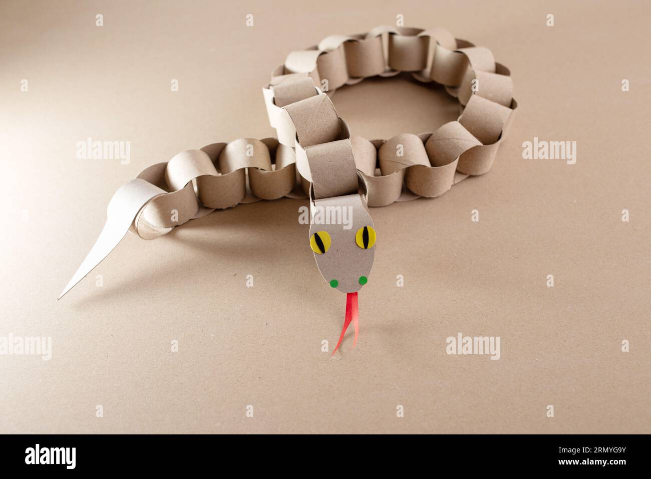 a snake made out of toilet paper rolls, craft made of recycle cardboard ...