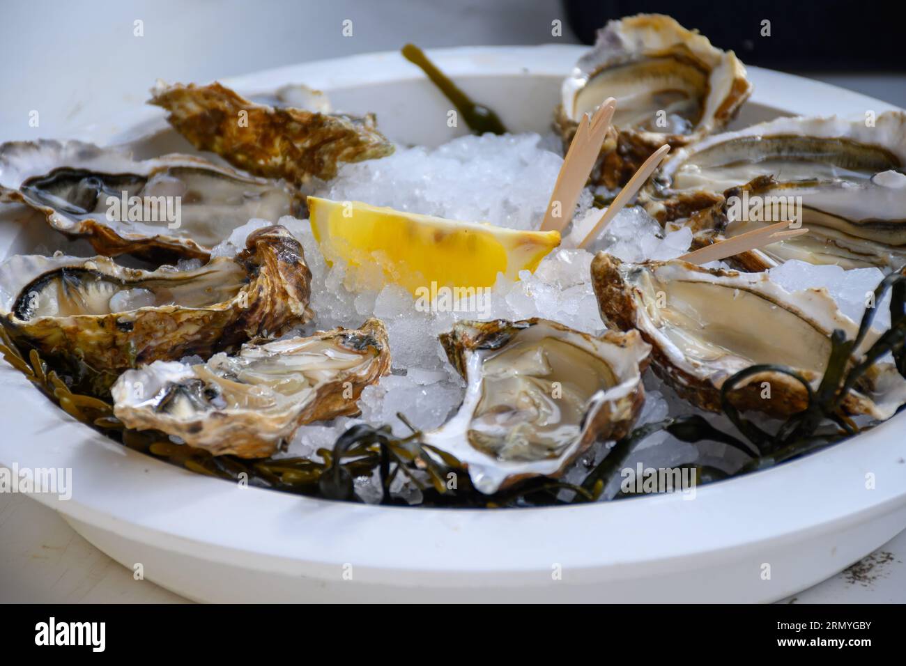 Fresh french Gillardeau oysters molluscs shucked on ice with lemon ...