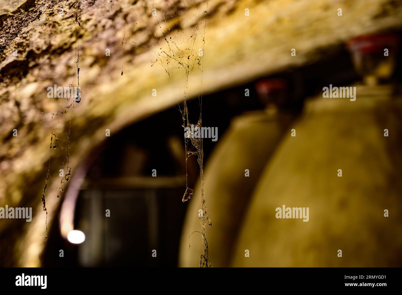 Concrete tanks eggs for fermentation process. Visit of undergrounds ...