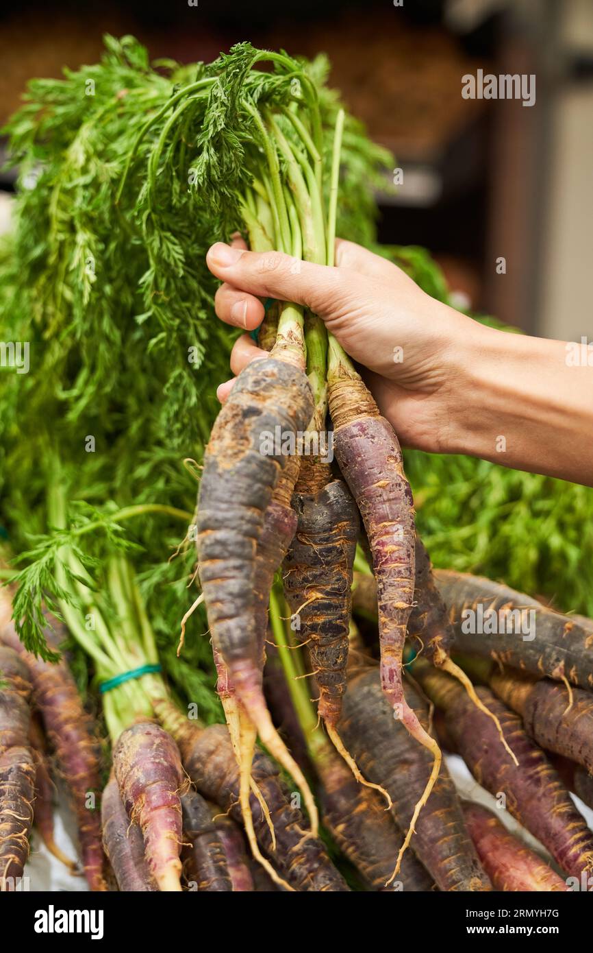 Female hand with radish in hand in a fruit shop Stock Photo - Alamy
