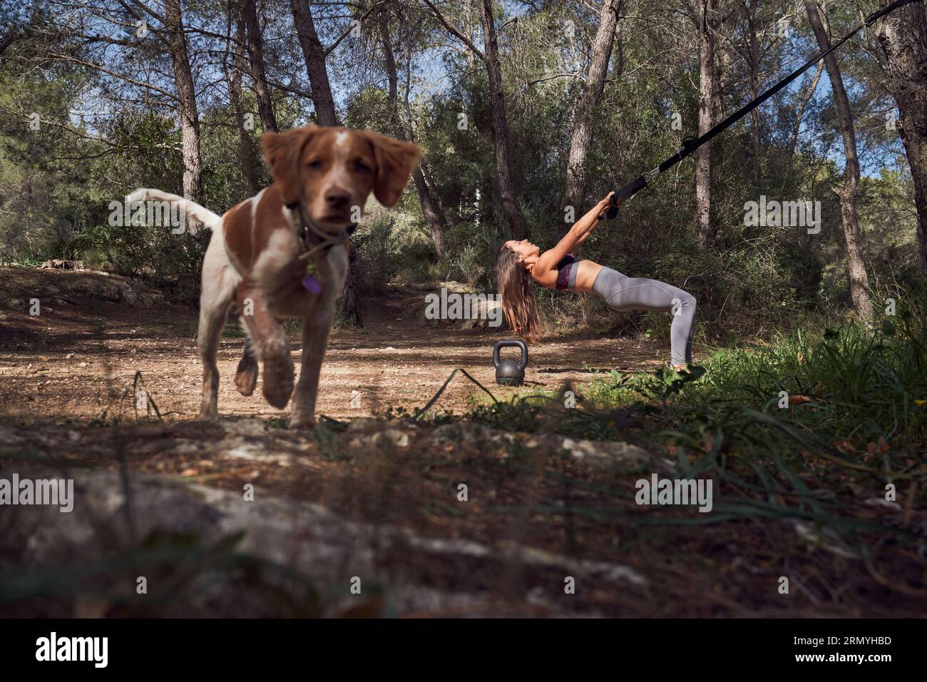 Side view of fit female athlete in activewear doing fitness using ...