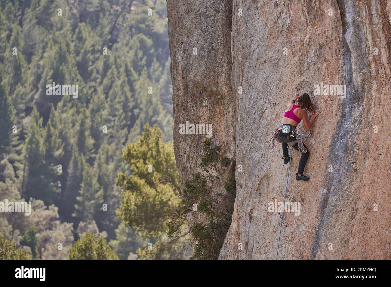 Back view full body of anonymous active female alpinist with safety ...