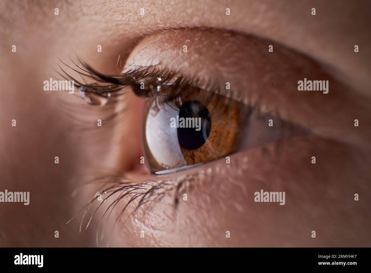Closeup brown eye with gleam of light of crop anonymous dissatisfied ...