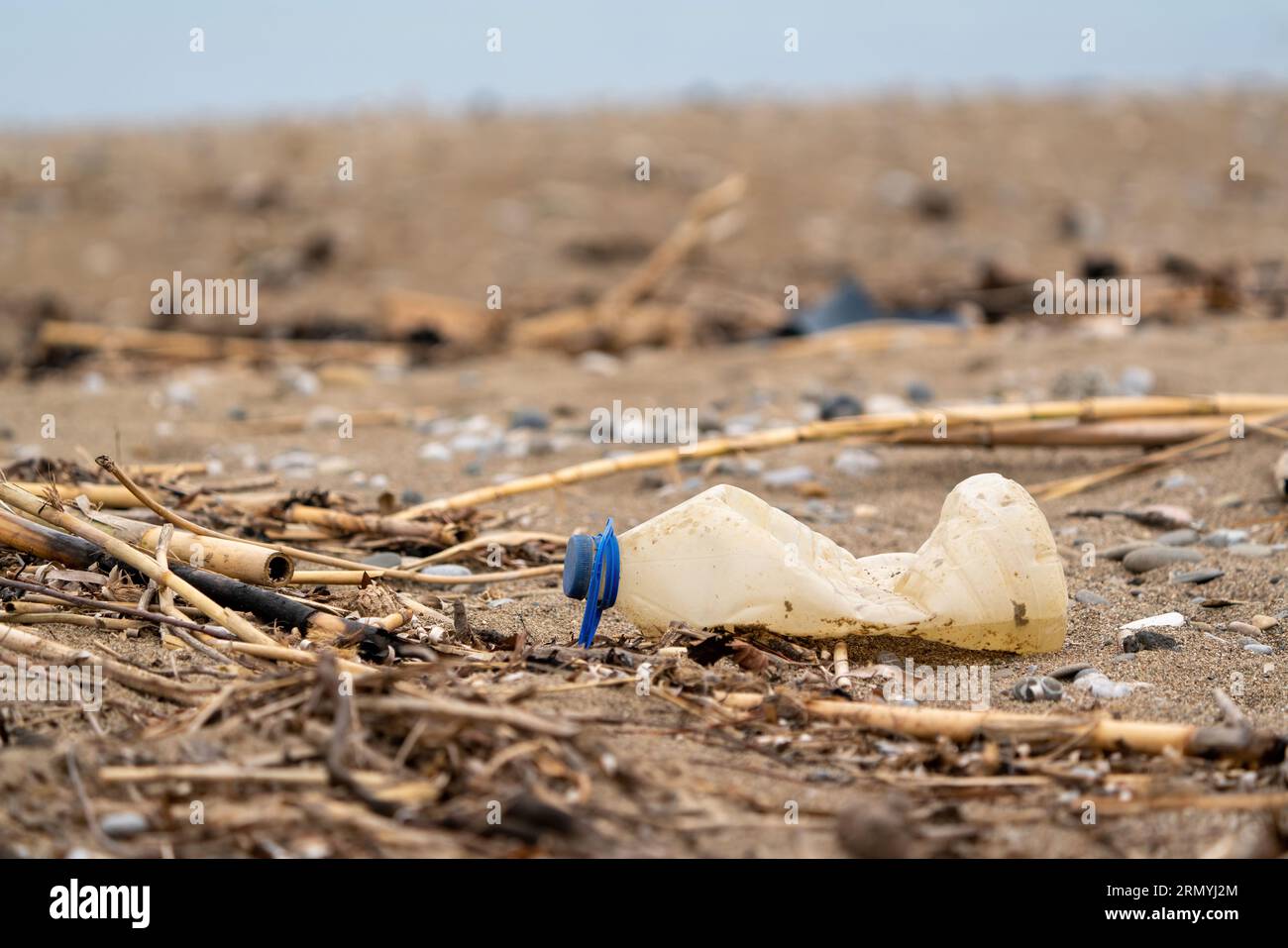 Garbage dumped on the seashore. Environmental pollution Stock Photo - Alamy
