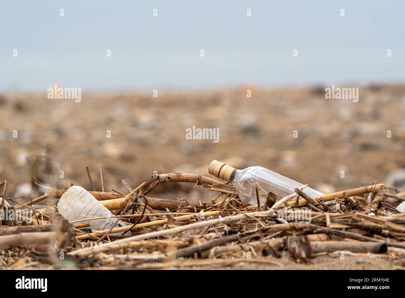 Garbage dumped on the seashore. Environmental pollution Stock Photo - Alamy