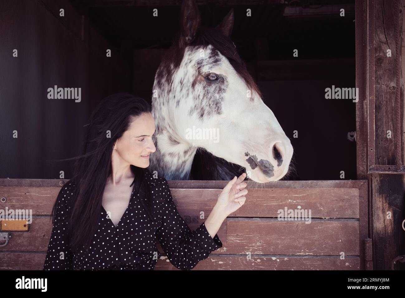 Attractive female owner in black dress touching muzzle of obedient ...