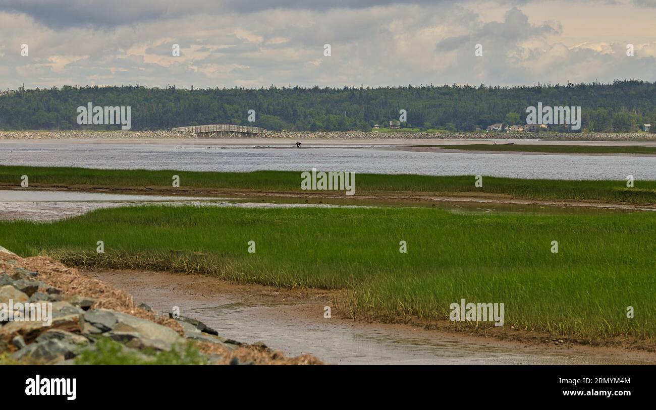 The Salt Marsh Trail, Nova Scotia, is part of the abandoned ...
