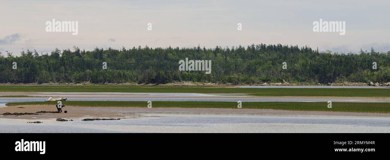 The Salt Marsh Trail, Nova Scotia, is part of the abandoned ...
