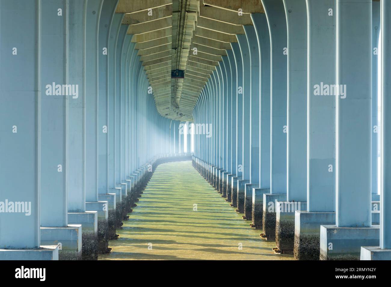Shenzhen, China. 31st Aug, 2023. A view shows rows of deep piers of the ...