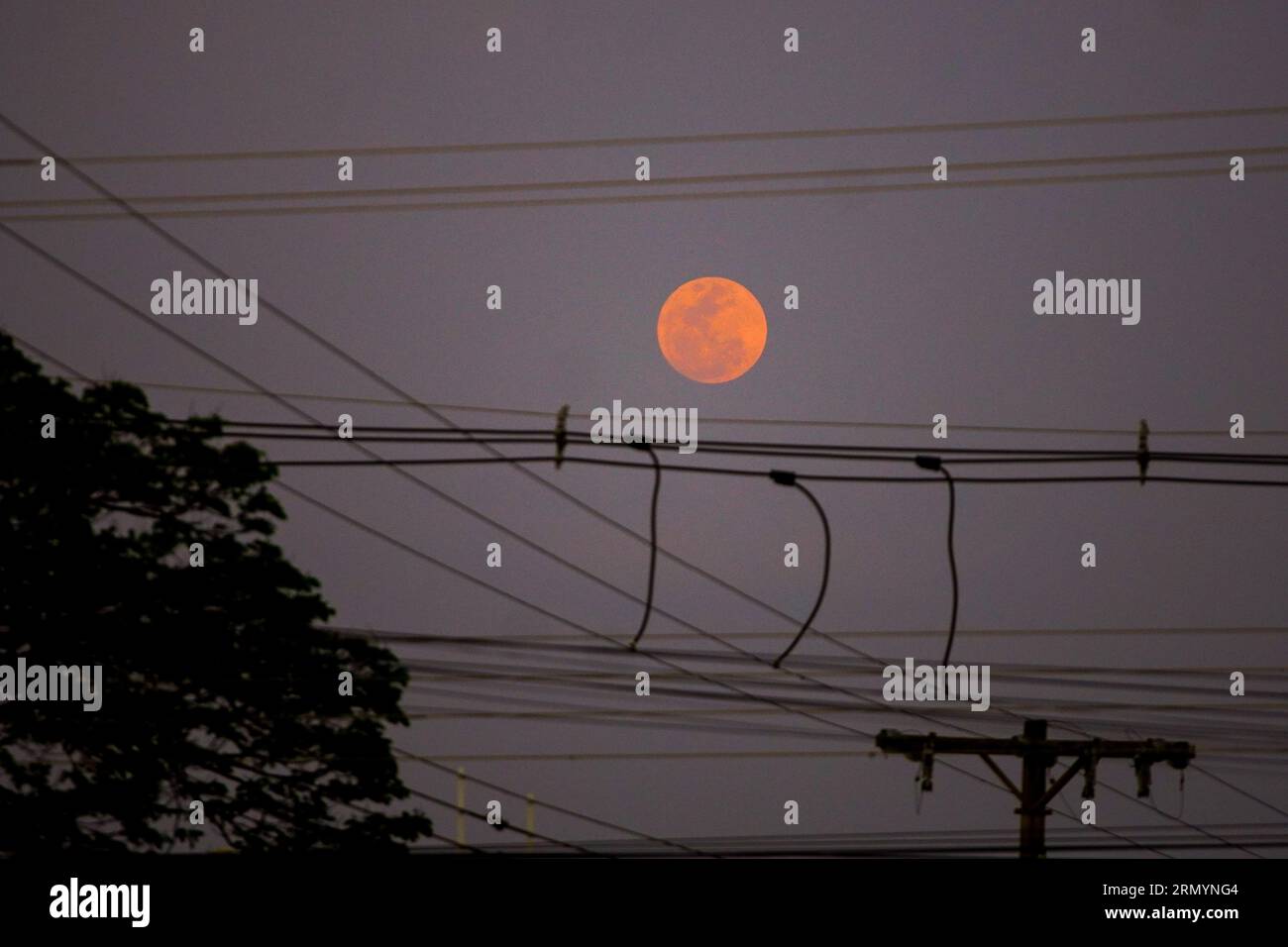 Super gloria hi-res stock photography and images - Alamy