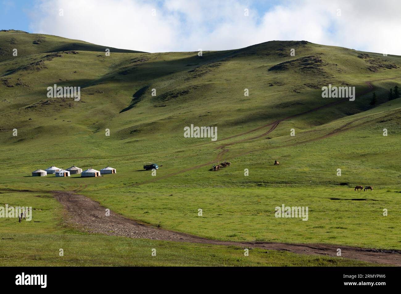 Traditional ger in the Orkhon valley, Central Mongolia Stock Photo - Alamy