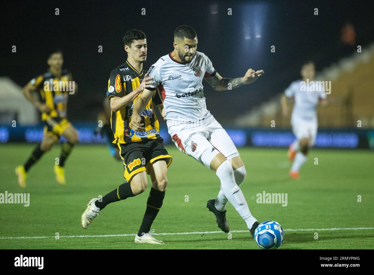 Novo Horizonte, Brazil. 30th Aug, 2023. SP - NOVO HORIZONTE - 08/30 ...