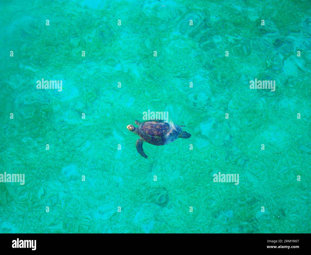 Ikema jima bridge miyako island hi-res stock photography and images - Alamy