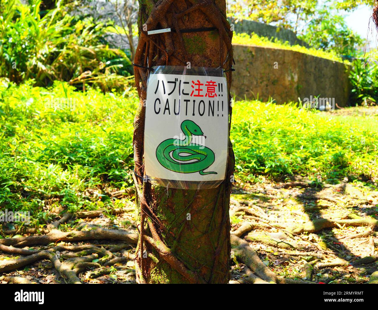Naha, Okinawa, South East Asia - Blue Zones Stock Photo - Alamy