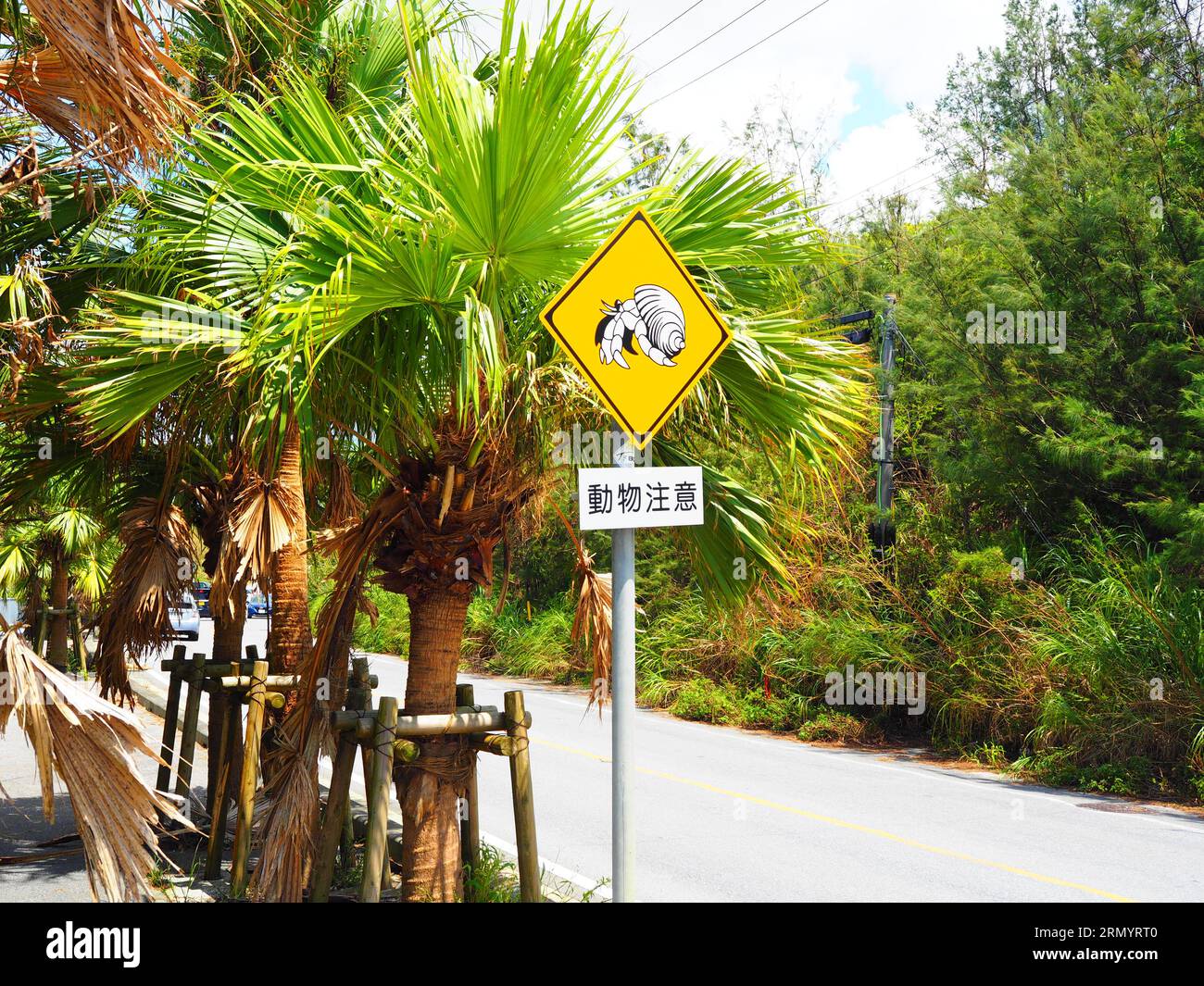 Miyako Island, Ishigaki Island, Okinawa, Japan Stock Photo - Alamy