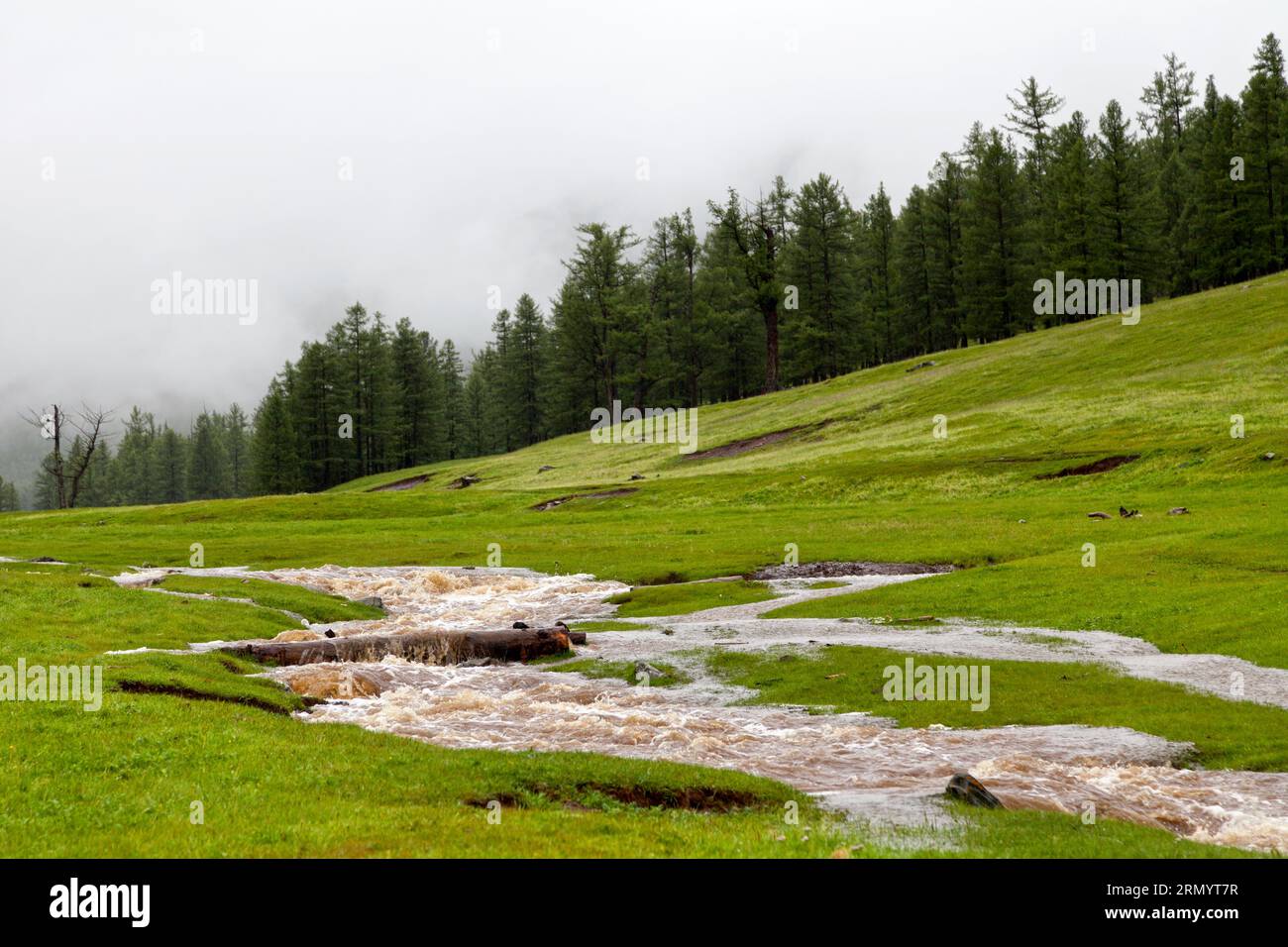Stream through valley hi-res stock photography and images - Alamy