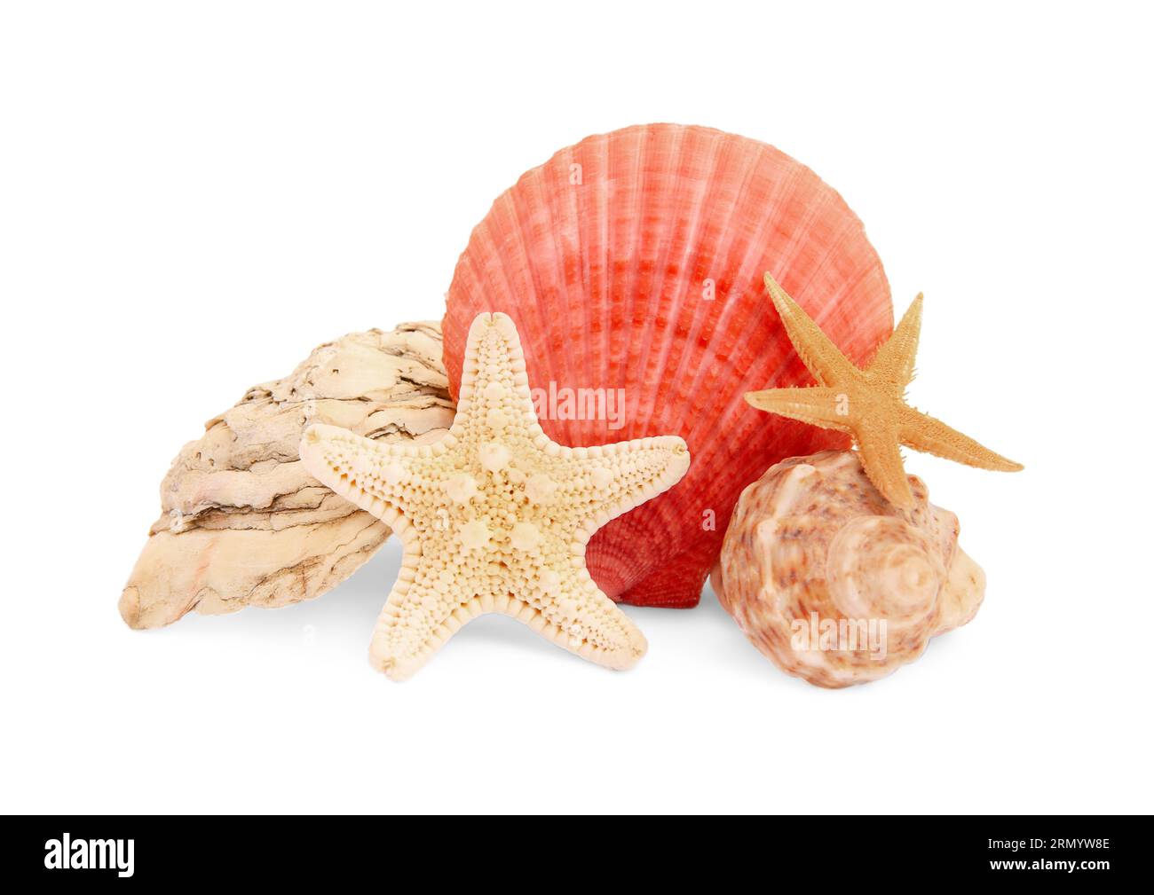 Beautiful sea stars (starfishes), stone and seashells isolated on white ...