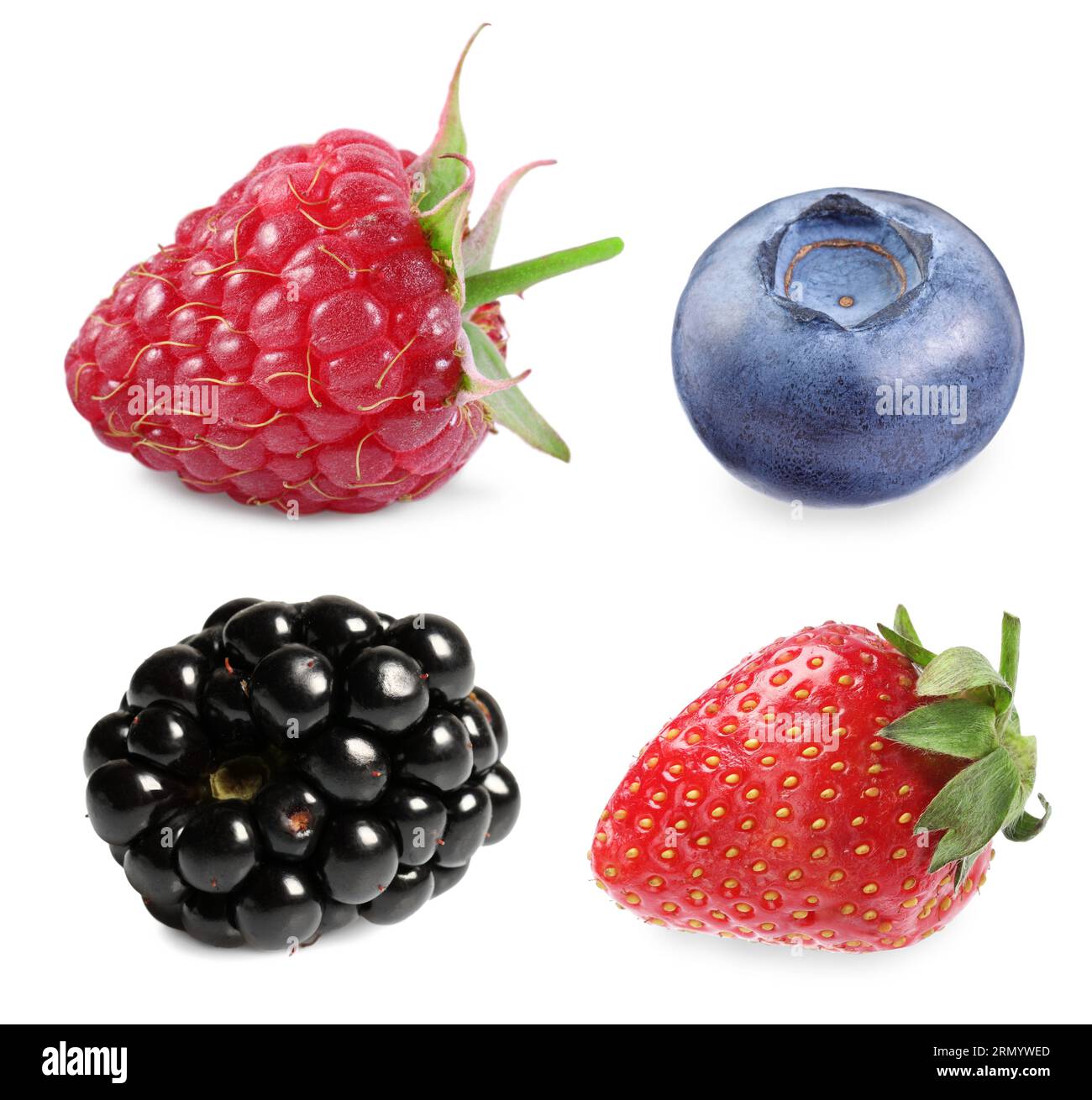 Blackberry, blueberry, strawberry and raspberry isolated on white Stock ...