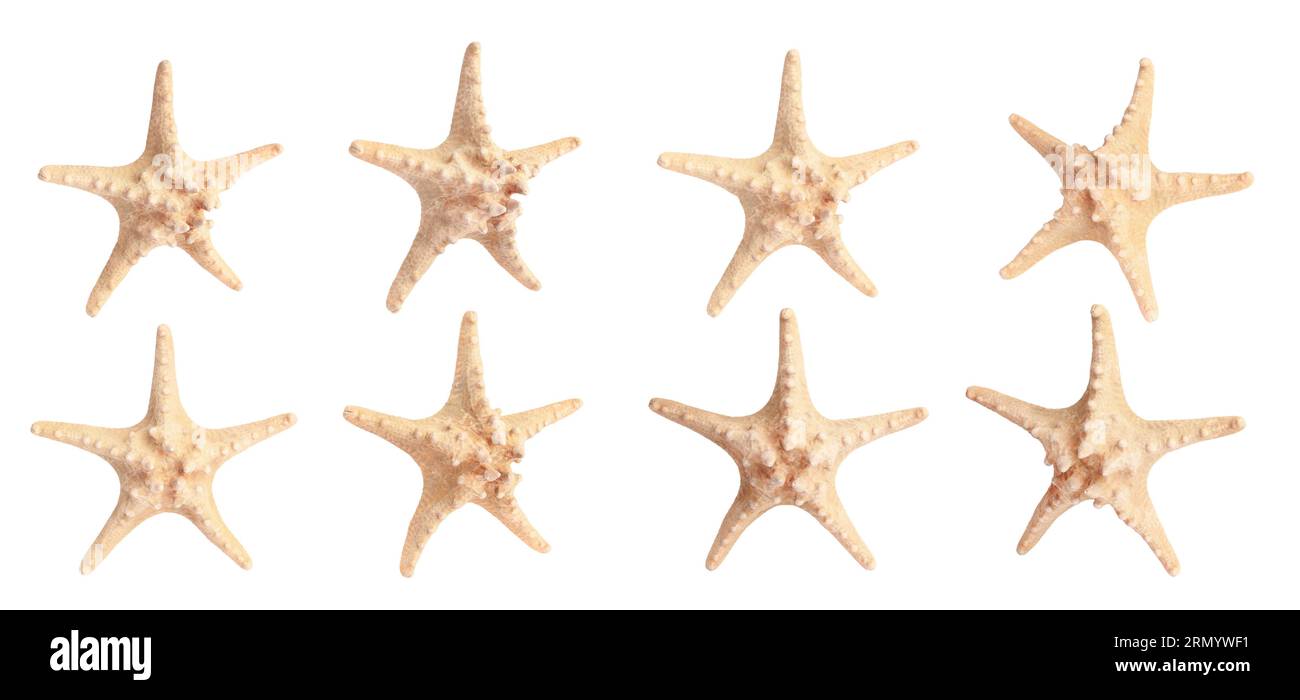 Collage with sea star isolated on white, different angles Stock Photo ...